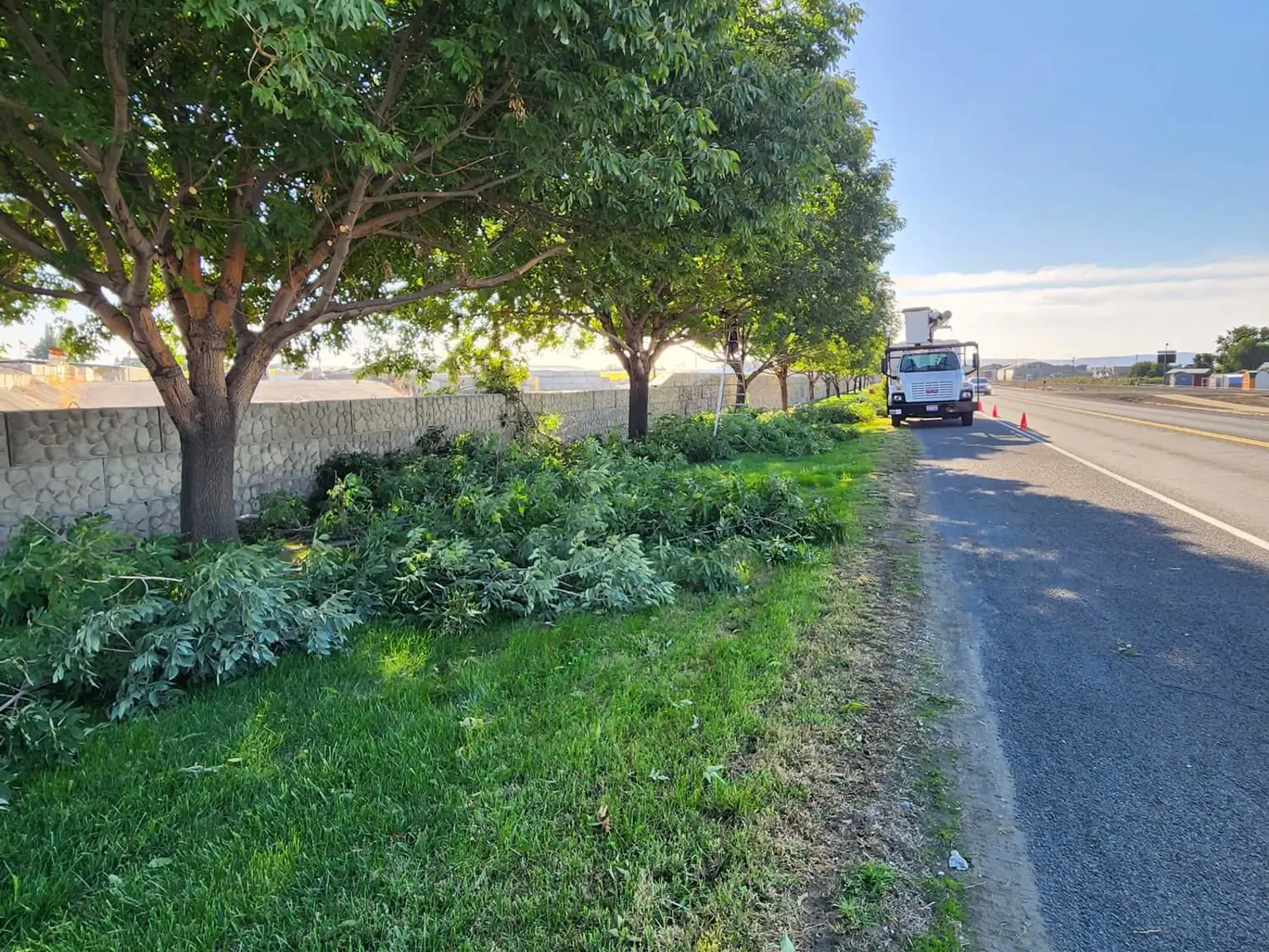 Tree Services | GA Tree and Yard Service